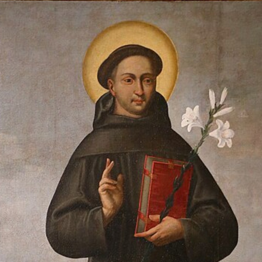 St. Anthony Of Padua - Meet The Saints